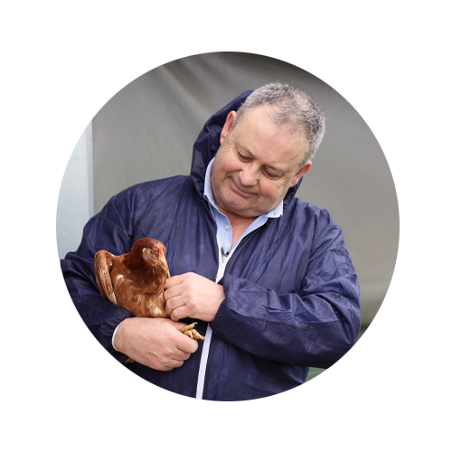 Home – St David's Poultry Team